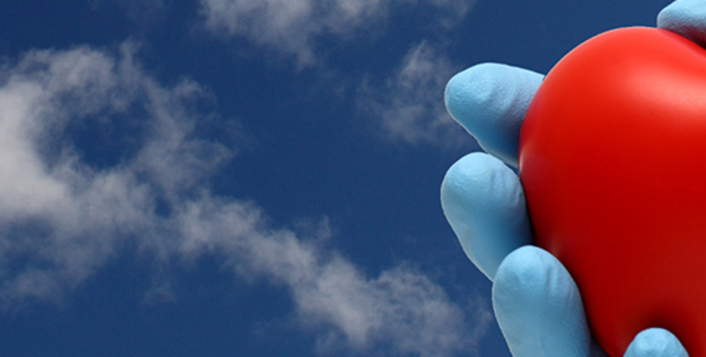 Orgaandonatie - Maaseik